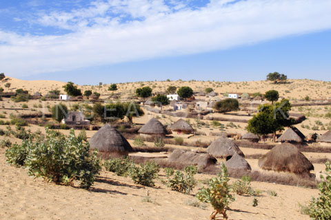 Landscape of Chachro, Thar, Sindh - Insearch.pk