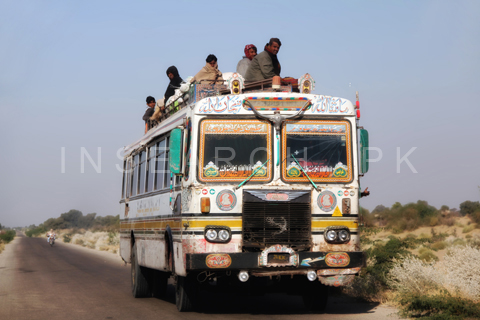 Buses in Pakistan - Insearch.pk