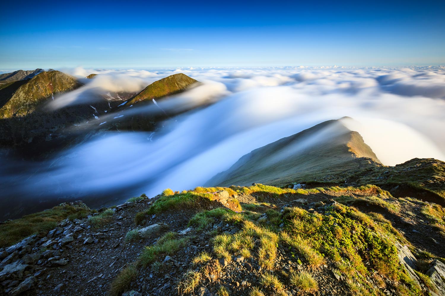 Paweł Dutka - Insearch.pk