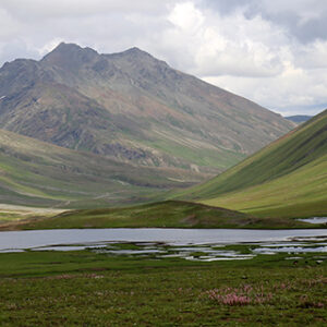 Minimerg Valley - Insearch.pk